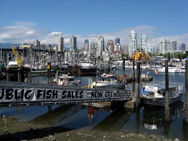 Mandana Tehrani : Sutton-Group West Coast Realty : West Side ...